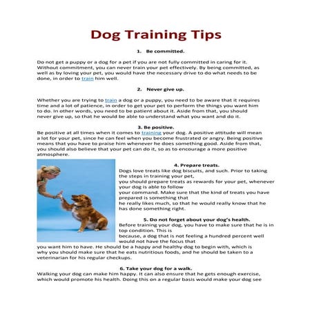 FREE ebook for traing dogs, 50 usefull Tips for train your dog | PDF