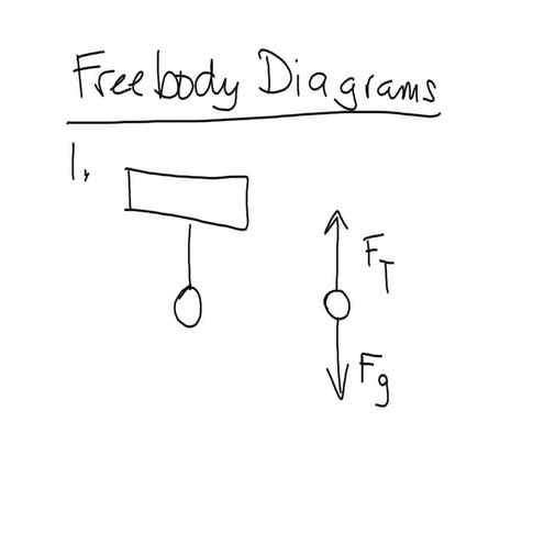 Freebody Diagrams | PDF