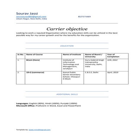 FREE CV TEMPLATE.pdf