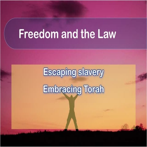 Freedom and the Law | PPTX