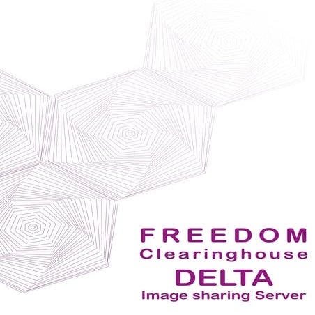 Freedom delta | PDF