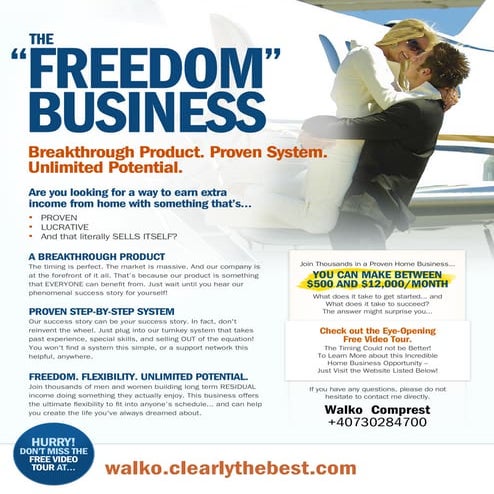 Freedom flayer | PDF