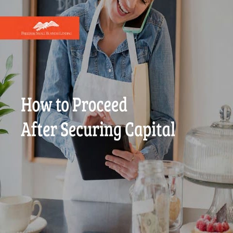 How to Proceed After Securing Capital | PDF