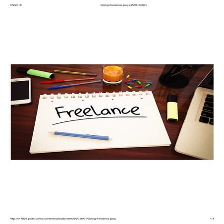 Freelance | PDF