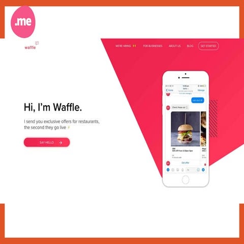 Freelance Web Developer | PDF