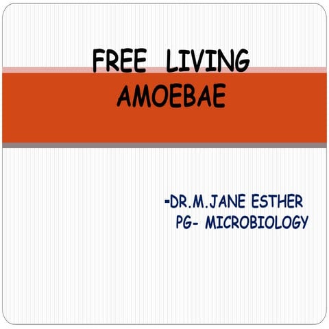 Free living amoebae | PPTX