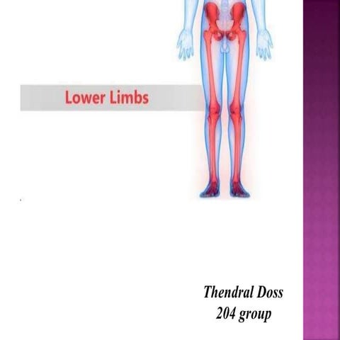 free lower limb.pptx