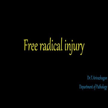 Bone marrow examination | PPTX
