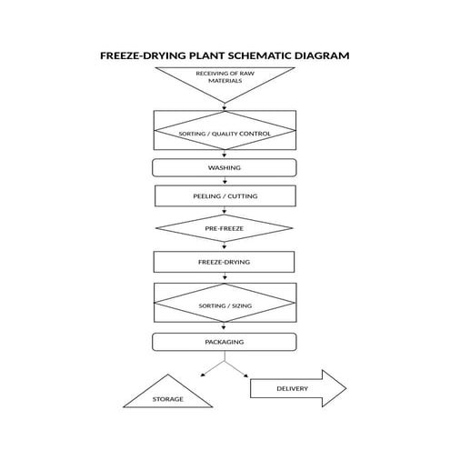 FREEZE-DRYING PLANT SCHEMATIC DIAGRAM and FS Checklist.docx