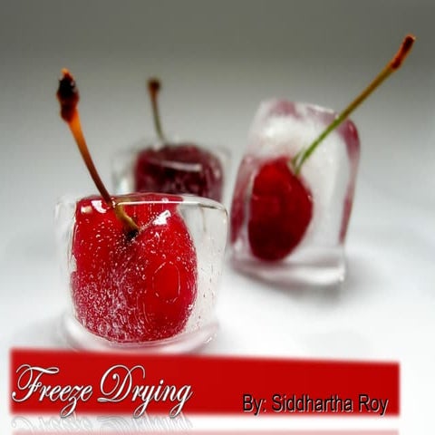 Methods of freeezing | PPTX