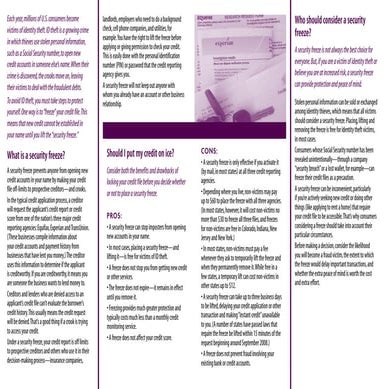 Freeze Your Credit File | PDF