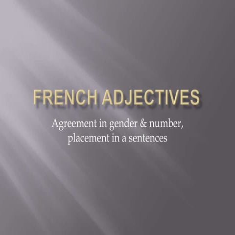 French adjectives | PPTX