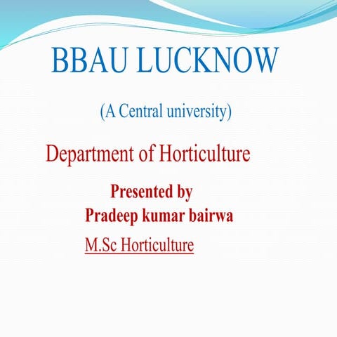 Production technology of french bean | PPTX