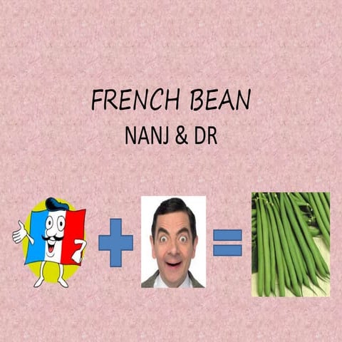 French bean | PPT