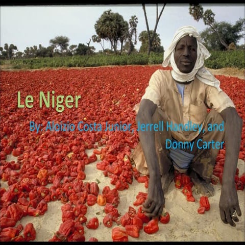 Le Niger | PPT