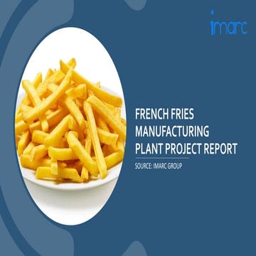 French Fries Manufacturing Plant Report.pdf