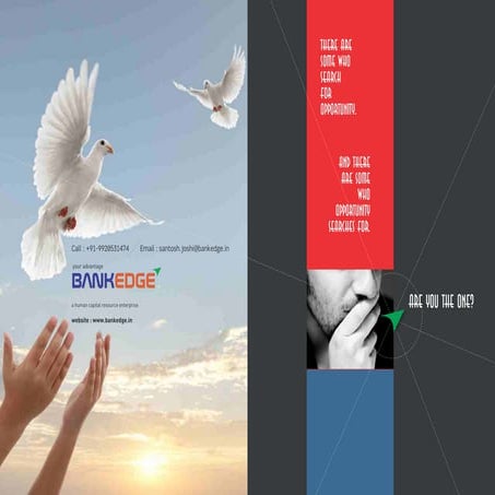 Bankedge Franchise | PDF