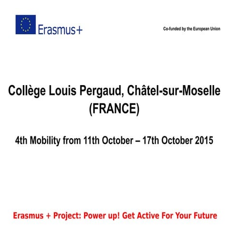 French mobility presentation | PPT