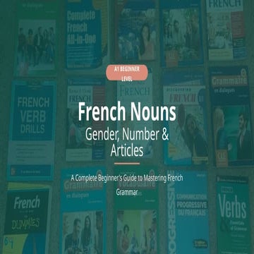 french_nouns_lesson_genderization.pptx.html.pptx