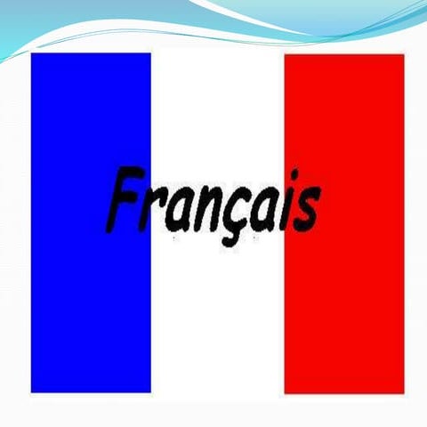 french language for the beginners | PPTX