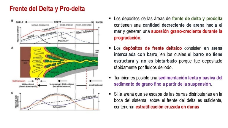 Frente del delta y pro delta