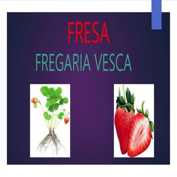 Fresa | PPTX