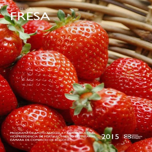 Fresa.pdf
