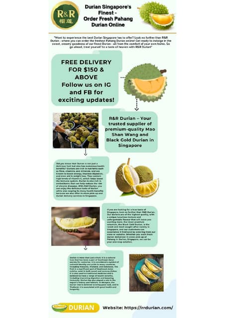 Mao Shan Wang Durian King of Fruits by R&R Durian | PDF