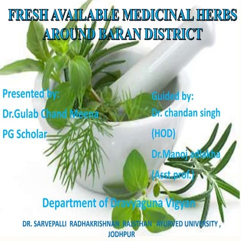 Fresh herbs ppt3 | PPT