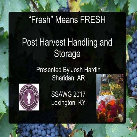Fresh means fresh | PPT