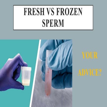 FRESH VS FROZEN SPERM your advice? Final | PPTX