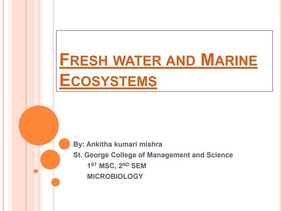 Pond Ecosystem.pdf