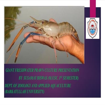 Freshwater prawn culture presentation by Susamay Biswas.pptx