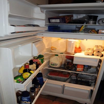 Fridge | PDF