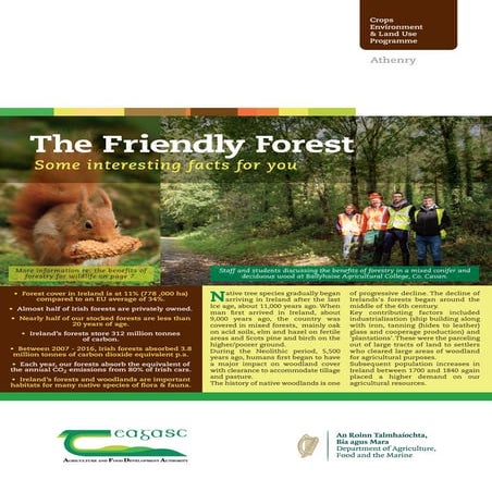 Friendly forest | PDF
