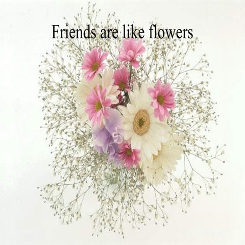 Friends are like flowers | PPT