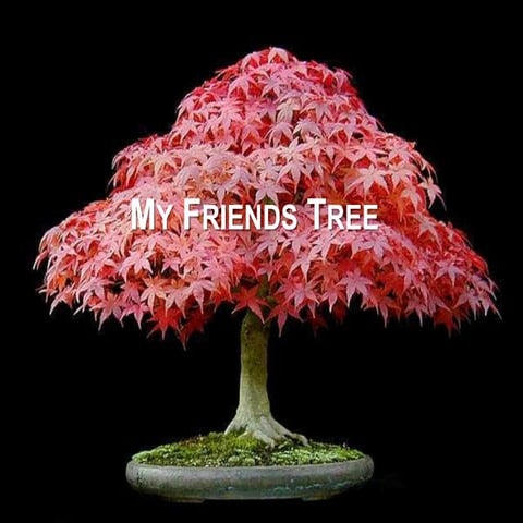MyFriendsTree | PPSX