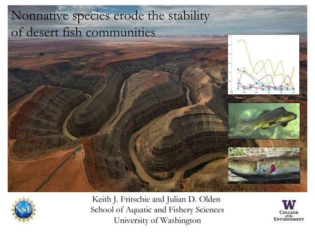 Summer 2015 Zebrafish Poster (2)