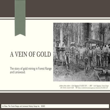 Life on the Goldfields | PPT
