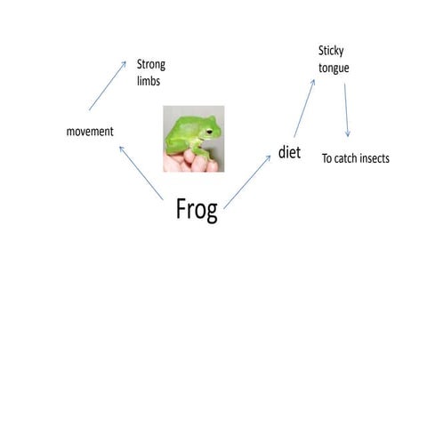 Frog | PPTX