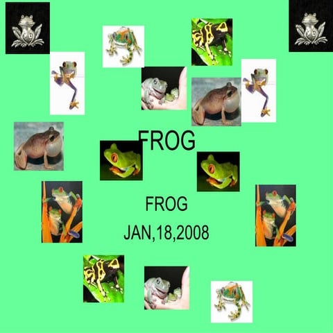 Frog | PPT