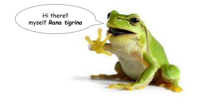 Zoology(External Features of the Frog & Buccal Cavity) | PPTX