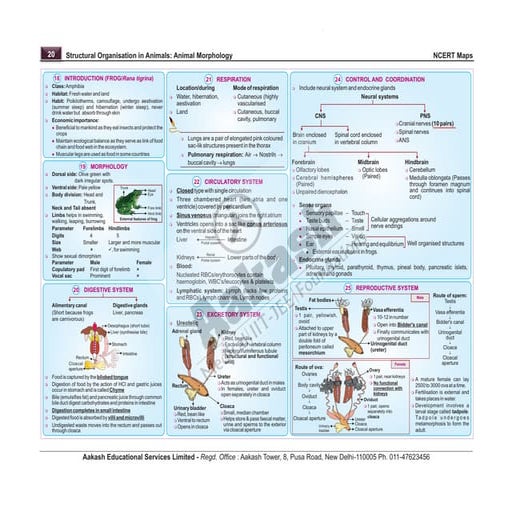 Frog Class 11th NCERT CBSE NEET biology notes | PDF