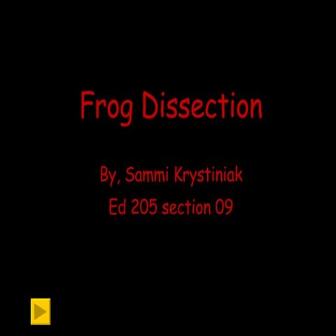 Frog Dissection | PPT