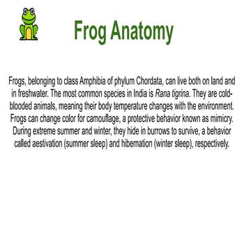Frog Anatomy presentation class xi chapter 7.pptx