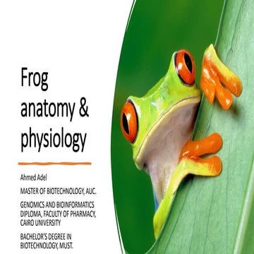 Frog anatomy & physiology.pptx