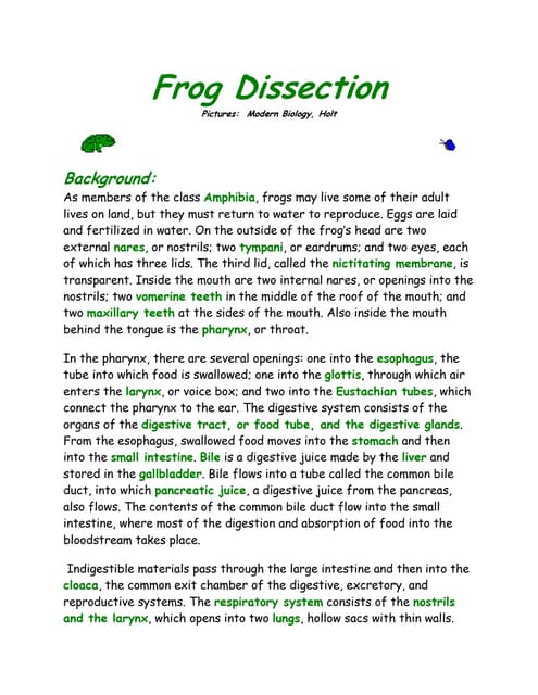 Frog Dissection | PPT | Biological Sciences | Science