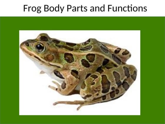 FROG - structural organization of animal | PPT