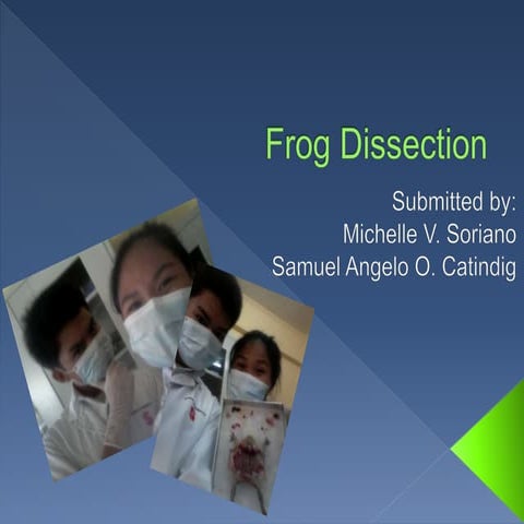 Frog dissection | PPTX