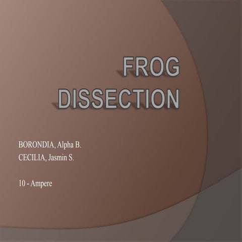 Frog dissection | PPT